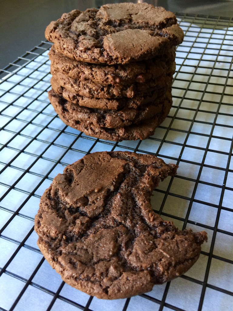 5 Ingredient Double Chocolate Cookies – Slice of Seds